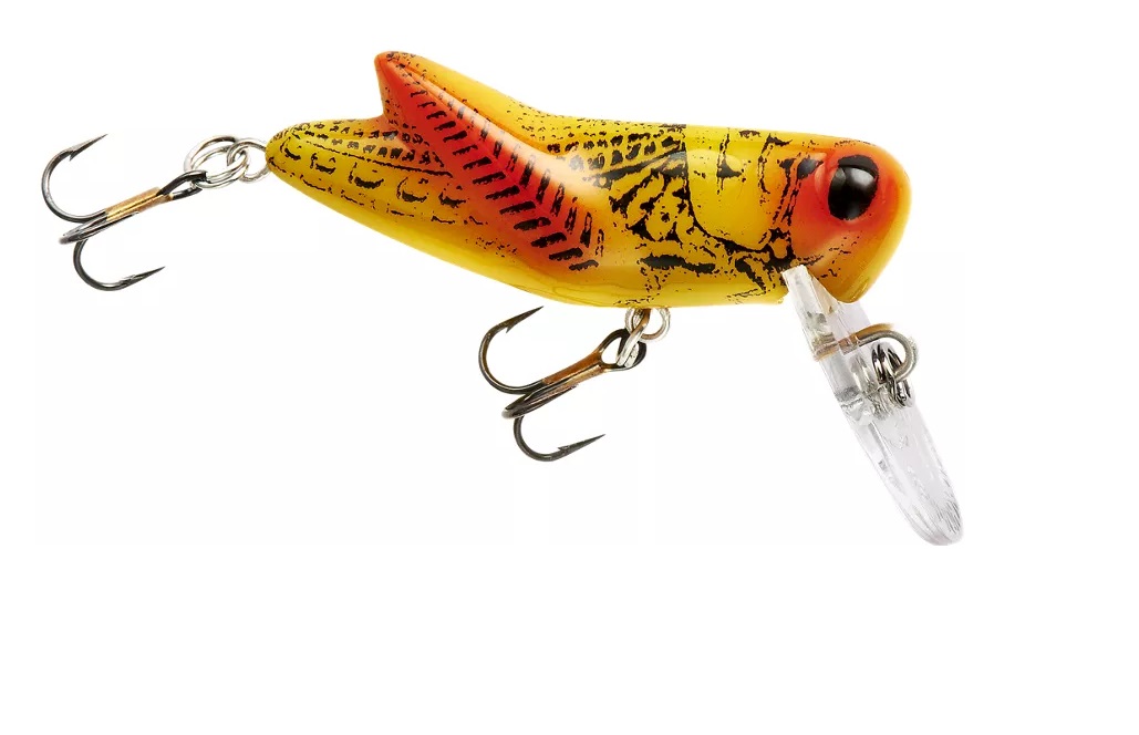 Rebel Crickhopper-Grillo - ESCAMAS